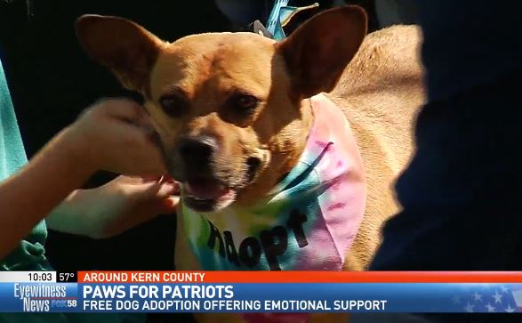 Paws for Veterans