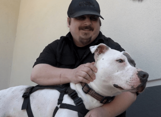 Dogs helping vets