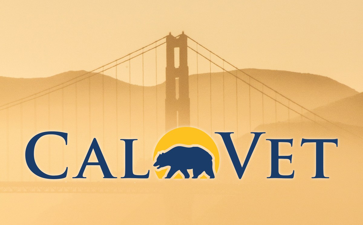 CALVET PRAISED FOR PROTECTING RESIDENTS, STAFF AT VETERANS HOMES DURING ...