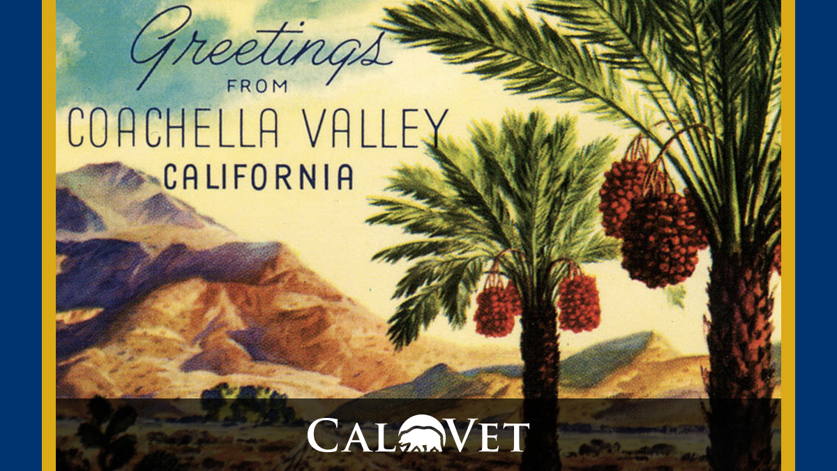 WOMEN’S HISTORY MONTH AND CALVET HOME LOAN SUCCESS STORIES ALL ROLLED ...