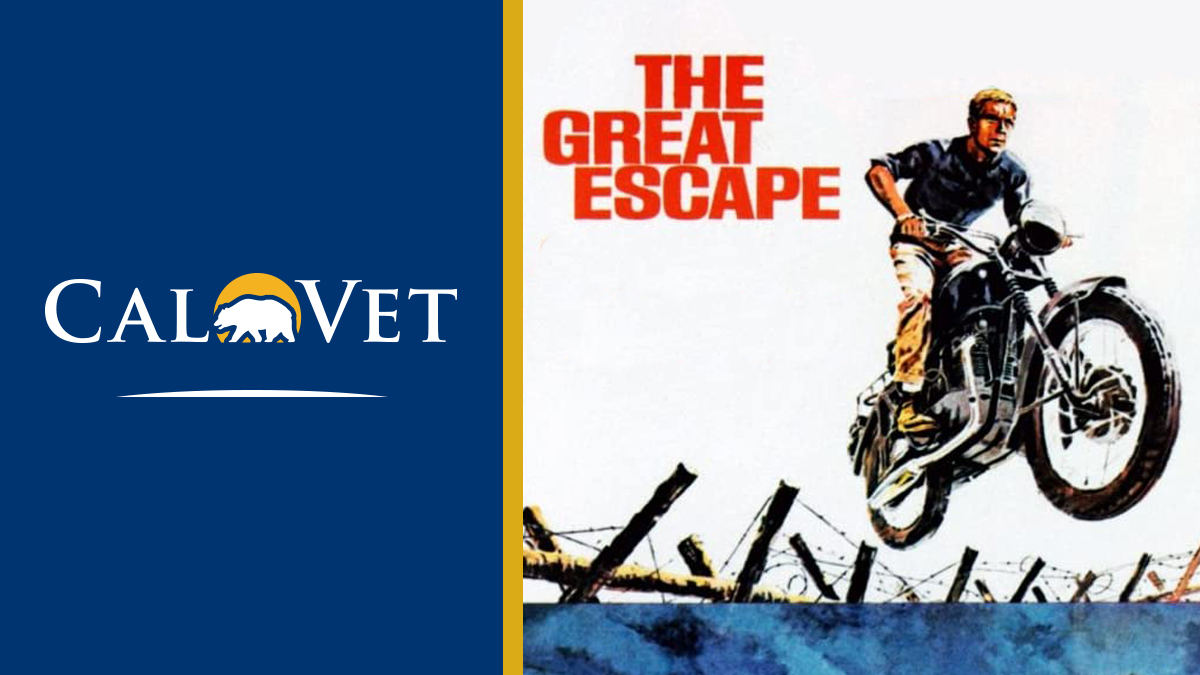 ‘THE GREAT ESCAPE’ 77 YEARS AGO TODAY MORE THAN JUST A NIGHT AT THE ...