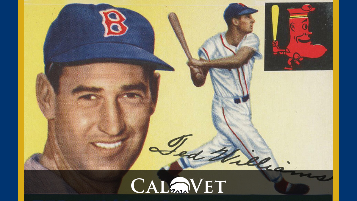 A HALL OF FAME CAREER WITH TWO WARS IN BETWEEN: TED WILLIAMS ENLISTED ...