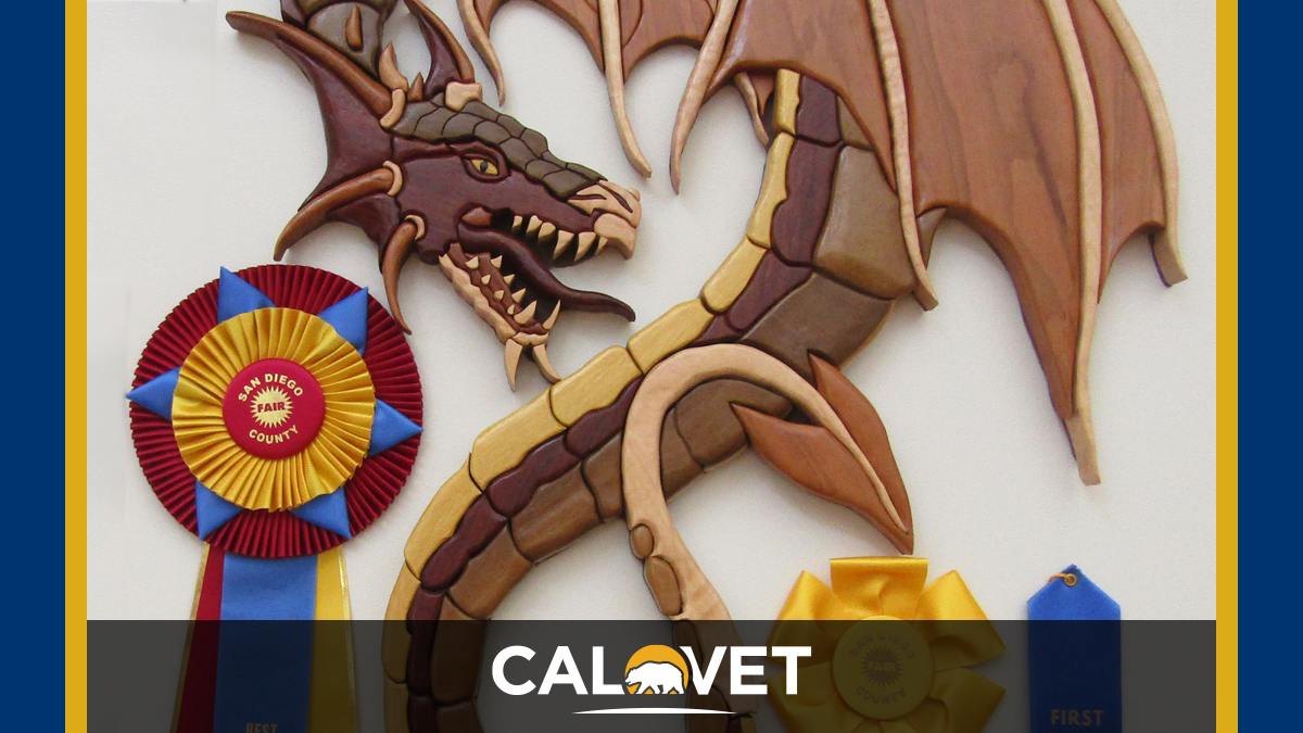 CHULA VISTA VETERAN ‘DRAGONS’ HOME A SLEW OF RIBBONS FROM SAN DIEGO ...