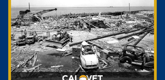 | Serving California's Veterans and their Families